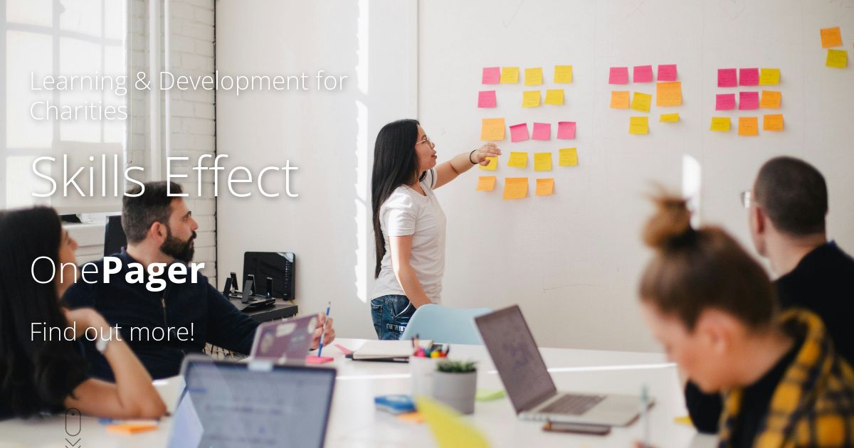 Skills Effect - Training and L&D for Charities